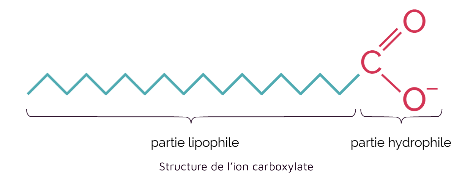 La chimie du savon – Il était un savon
