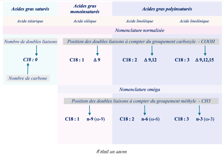 Les acides gras – Il était un savon